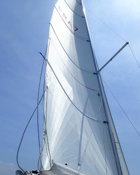 Contender Sailcloth, le tissu CDX PRO pour Rolly Tasker